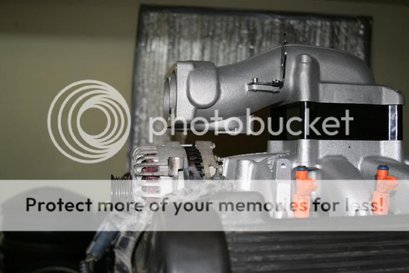 MMR edelbrock intaker adapter plate? | Ford Mustang Forums