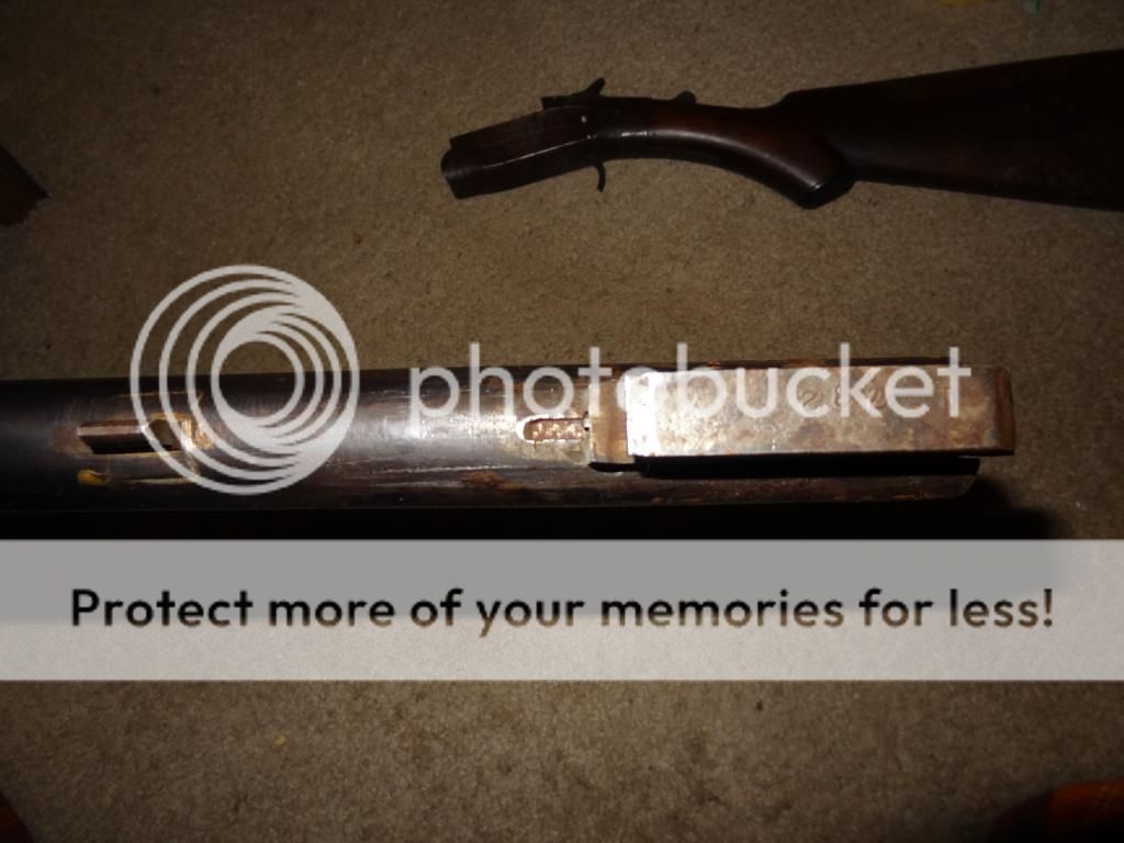 New White Powder Wonder shotgun | Gunboards Forums