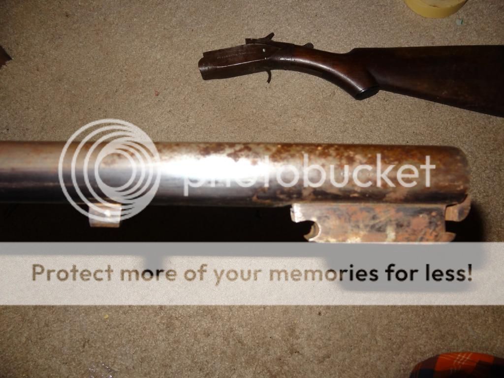 New White Powder Wonder shotgun | Gunboards Forums