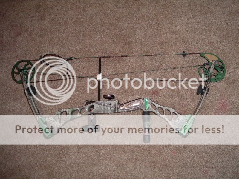 Let's See Pictures of the Hunting Bows | Page 2 | Archery Talk Forum