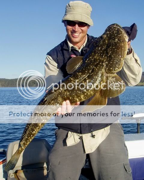 Wanted 1 Meter Flathead - Fishing Chat - DECKEE Community