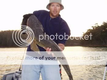 Wanted 1 Meter Flathead - Fishing Chat - DECKEE Community