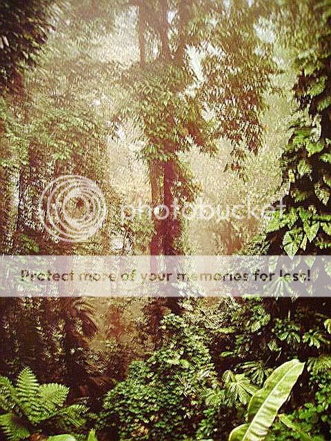 Parques Nacionales de Venezuela | SkyscraperCity Forum