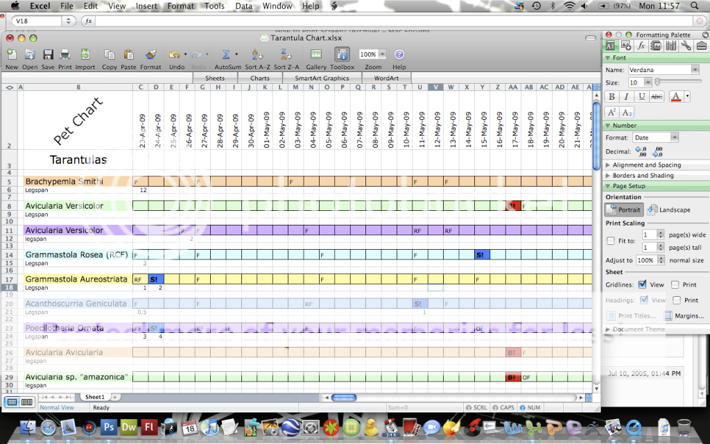 Tarantula Spreadsheet - My way of keeping track of growth | Reptile Forums