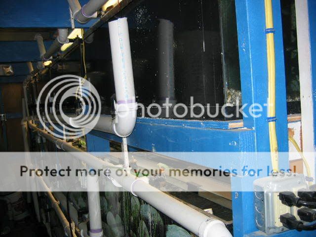 large multi-level aquarium display unit | MonsterFishKeepers.com